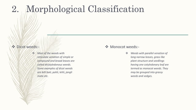 Classification of weeds | PPTX | Gardening | Home & Garden