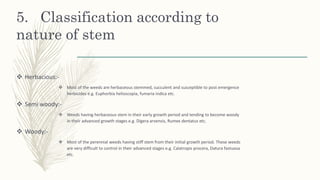 Classification of weeds | PPTX