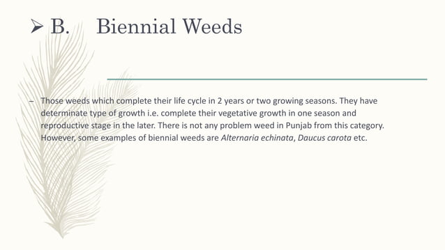 Classification of weeds | PPTX | Gardening | Home & Garden