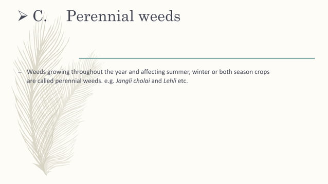 Classification of weeds | PPTX | Gardening | Home & Garden
