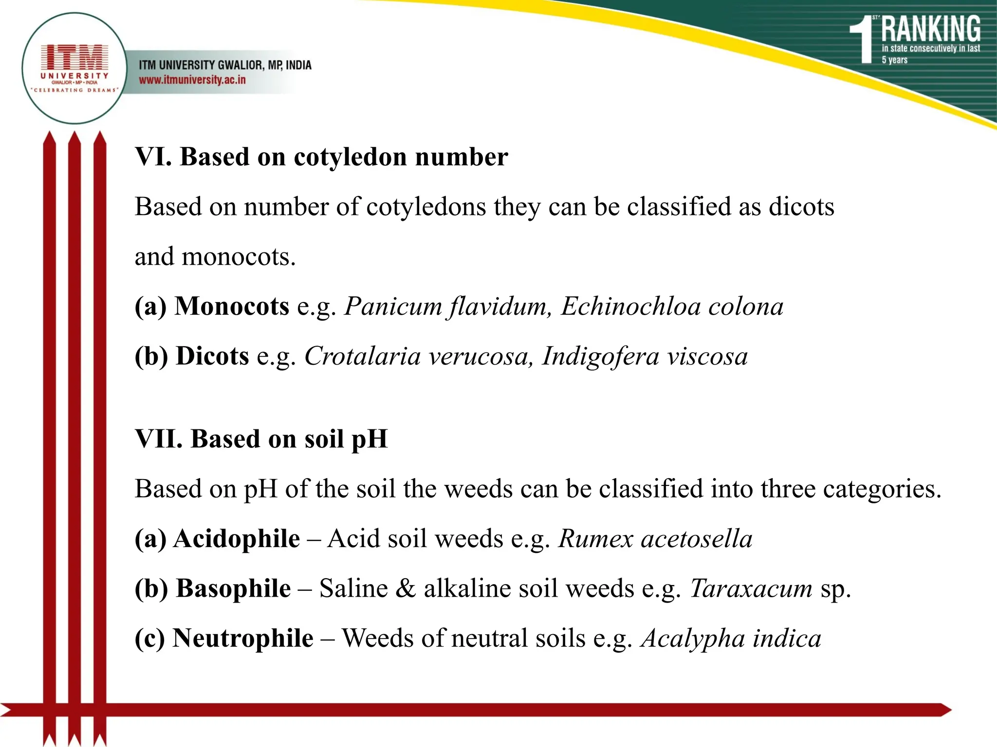 Classification of weeds and types of weeds.pptx