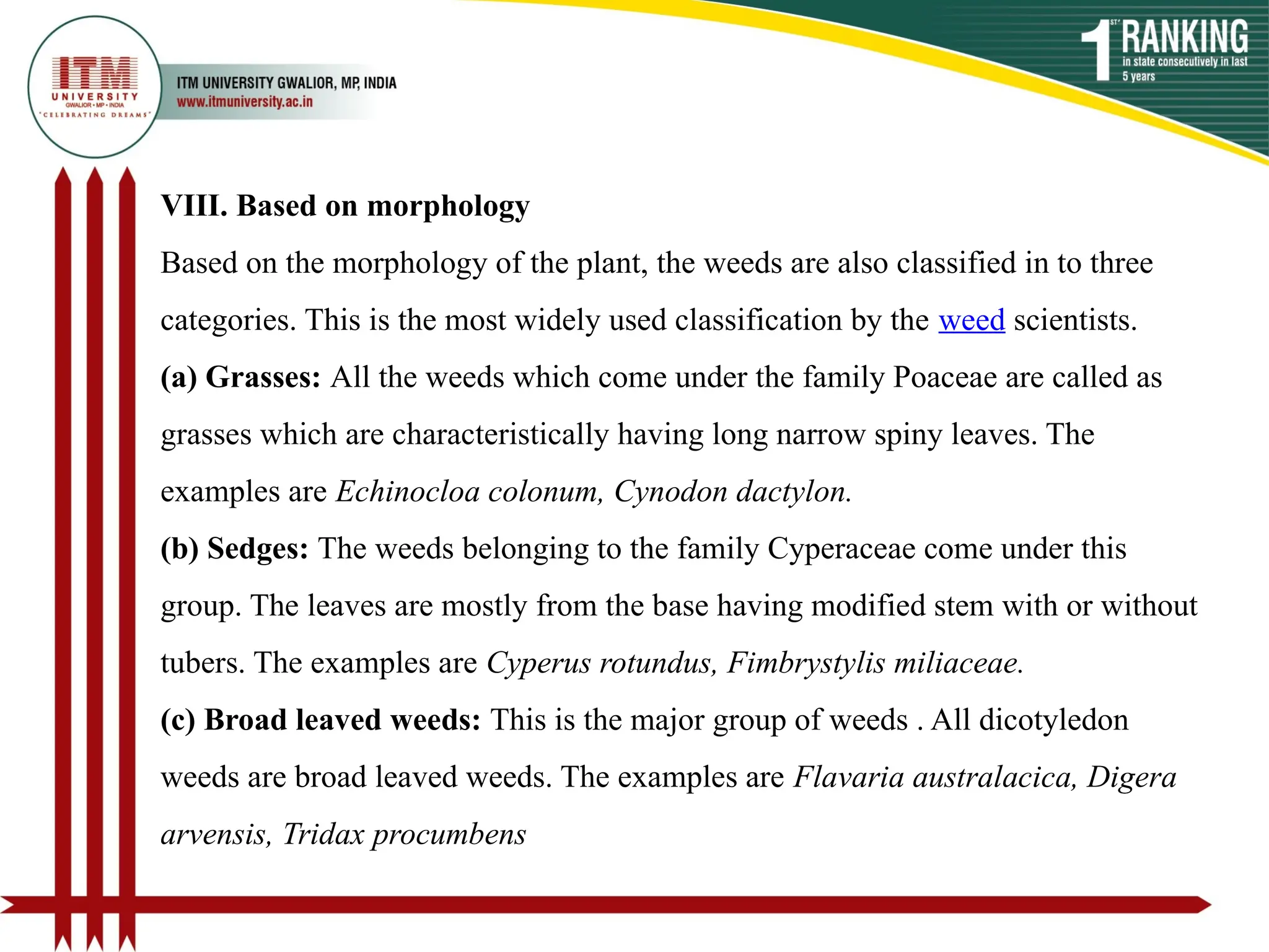 Classification of weeds and types of weeds.pptx