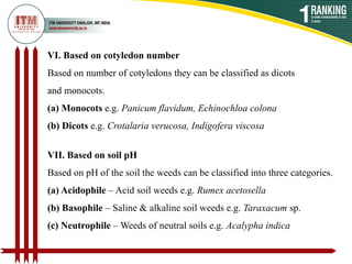 Classification of weeds and types of weeds.pptx