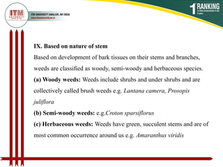 Classification of weeds and types of weeds.pptx