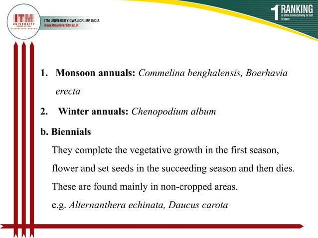 Classification of weeds and types of weeds.pptx