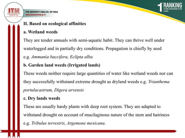 Classification of weeds and types of weeds.pptx