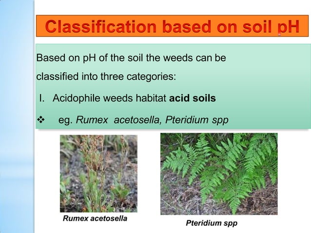 Classification of weeds and characteristics of different agro systems | PDF
