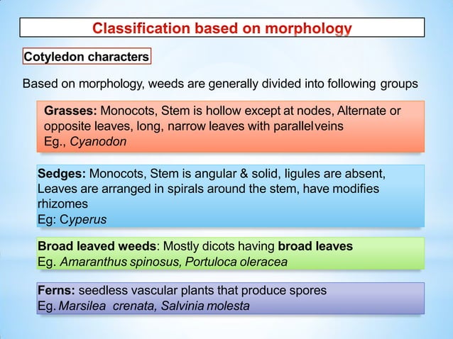 Classification of weeds and characteristics of different agro systems | PDF