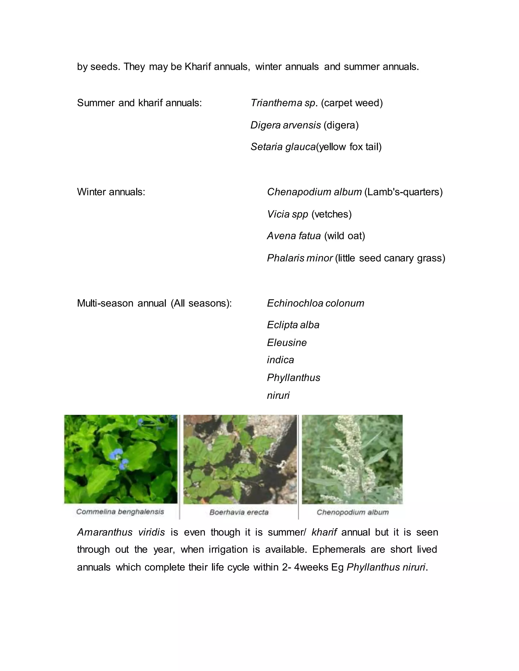 Classification of weeds | DOCX