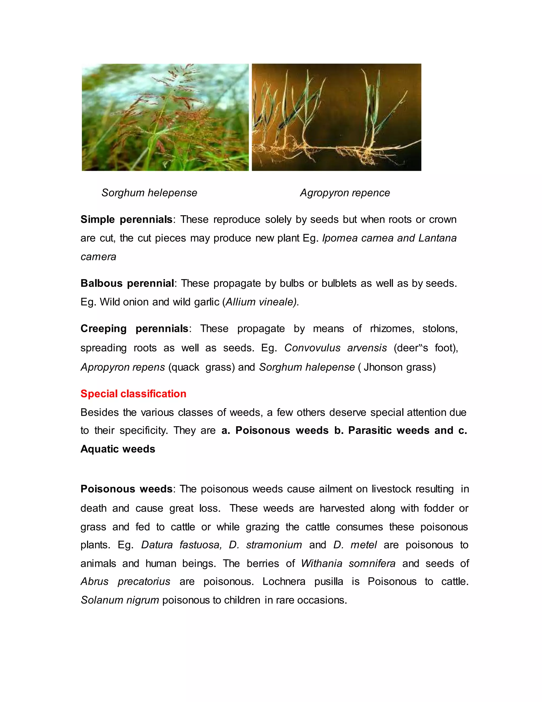 Classification of weeds | DOCX