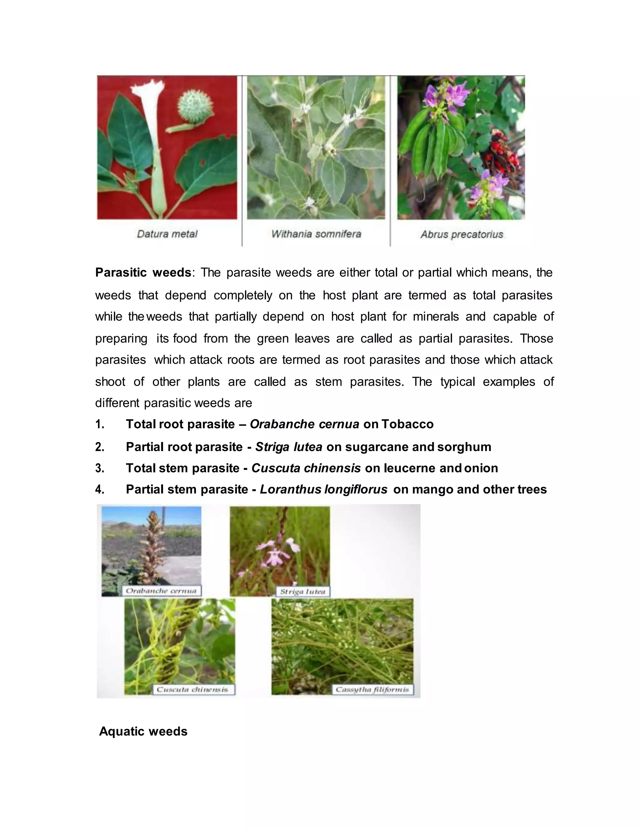 Classification of weeds | DOCX