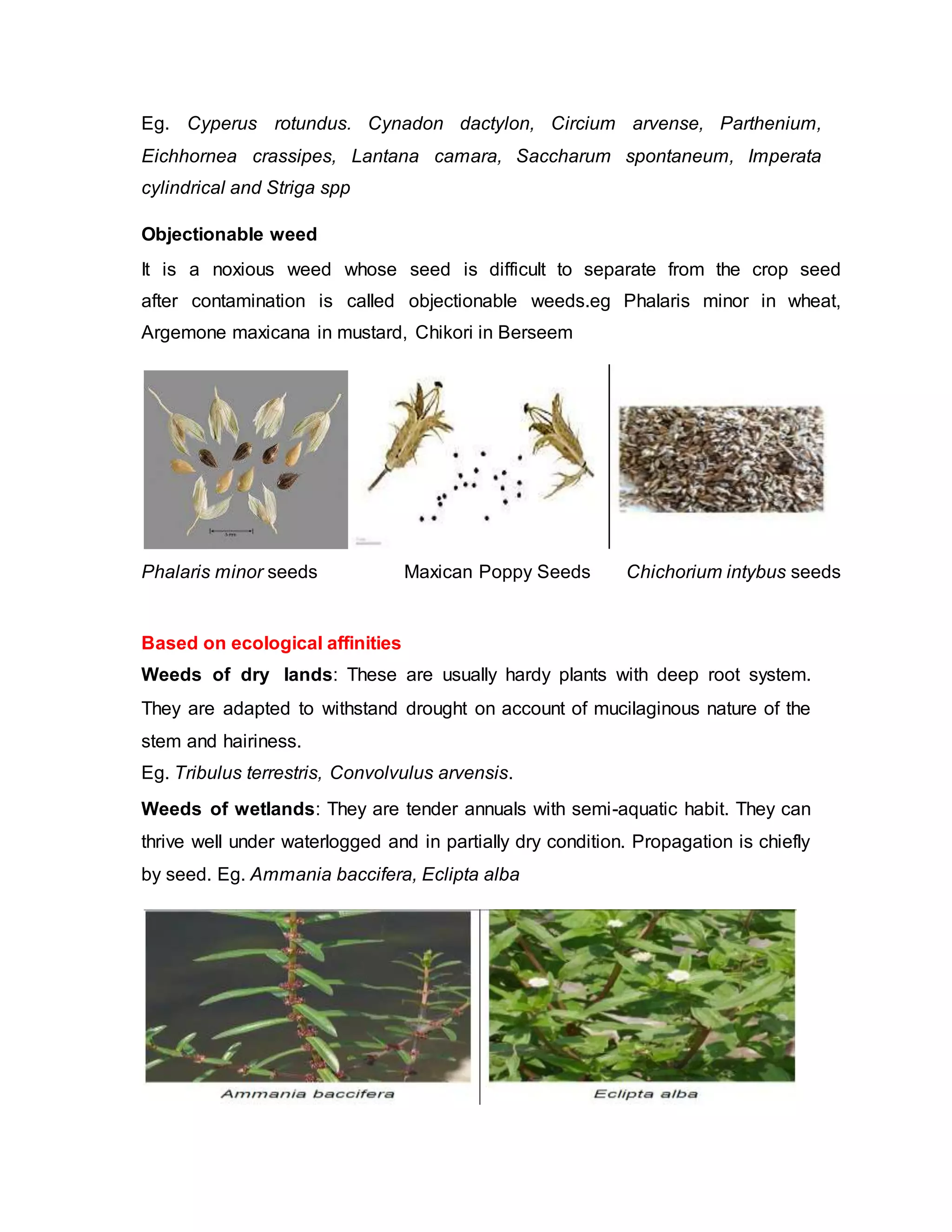 Classification of weeds | DOCX