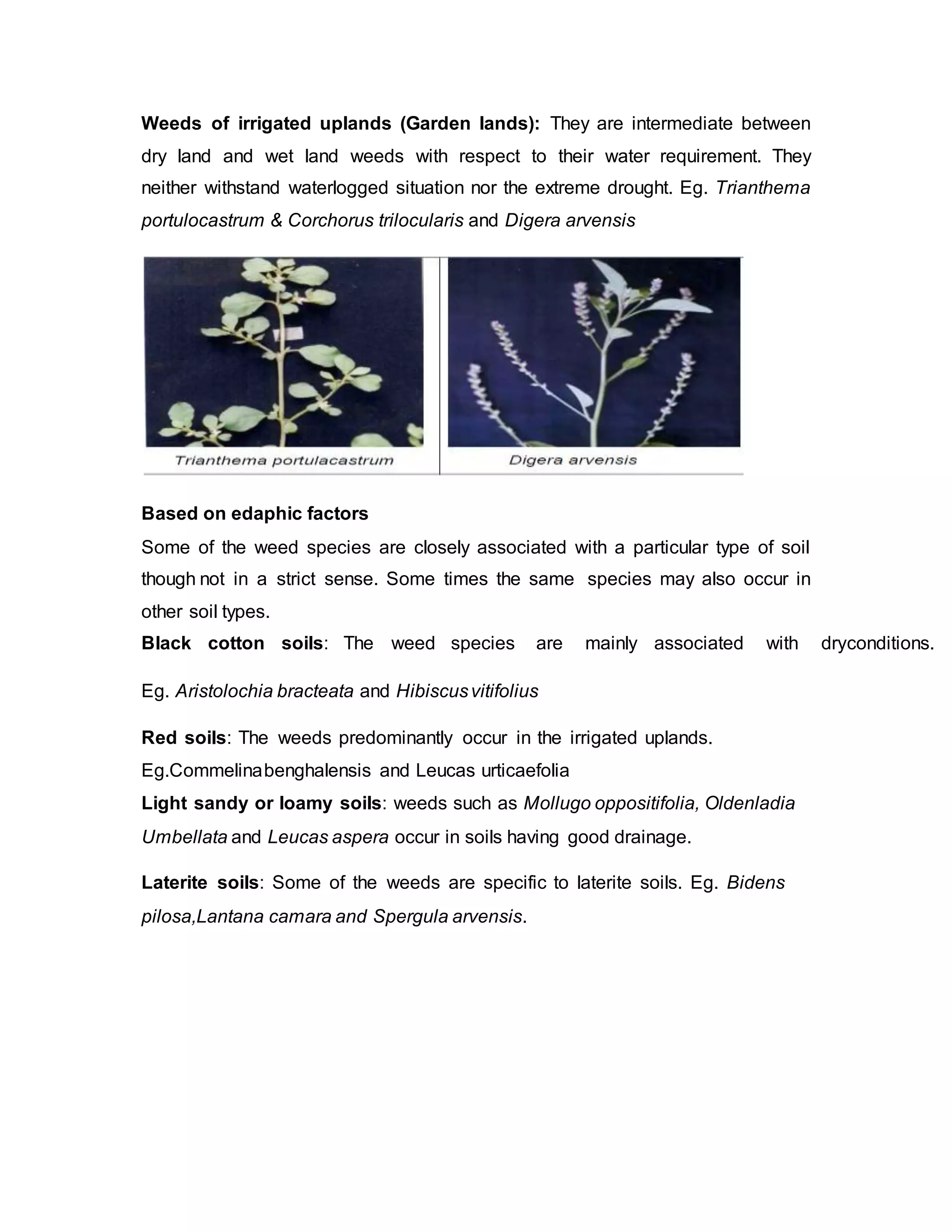 Classification of weeds | DOCX
