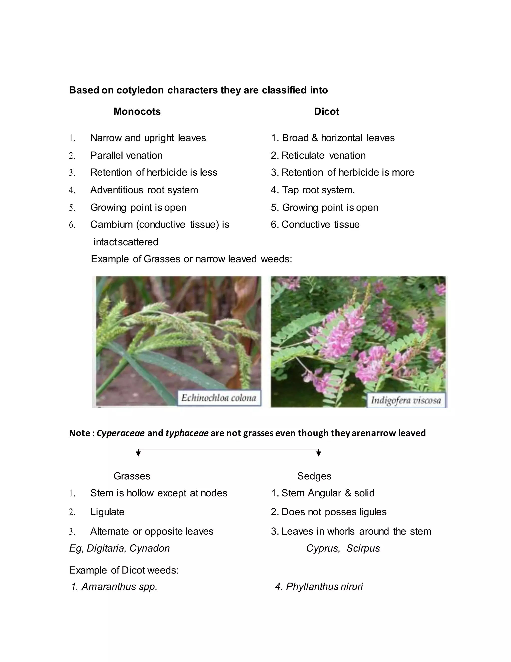 Classification of weeds | DOCX