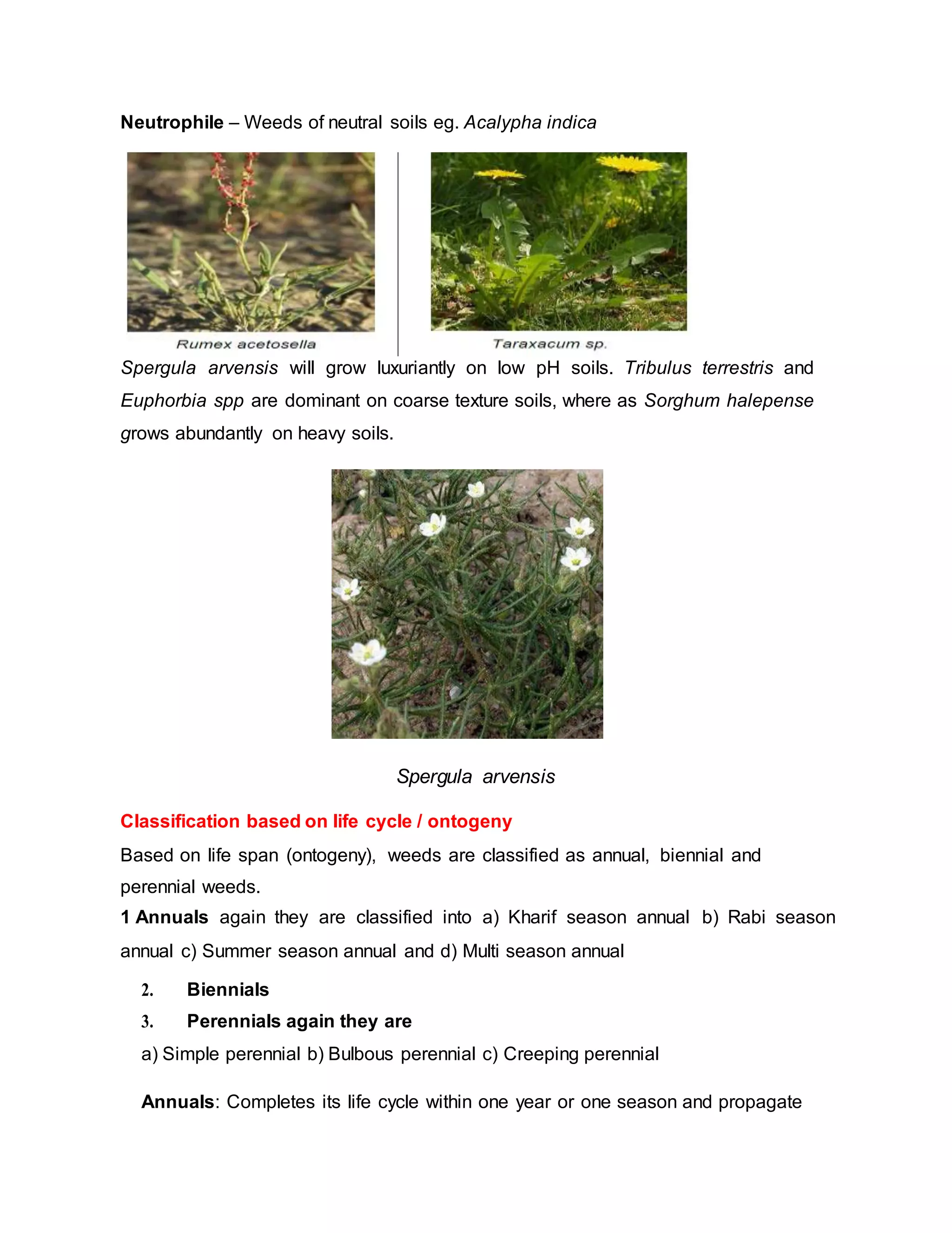 Classification of weeds | DOCX