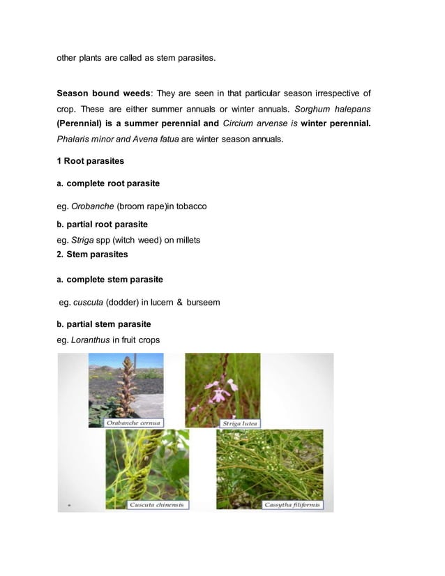 Classification of weeds | DOCX