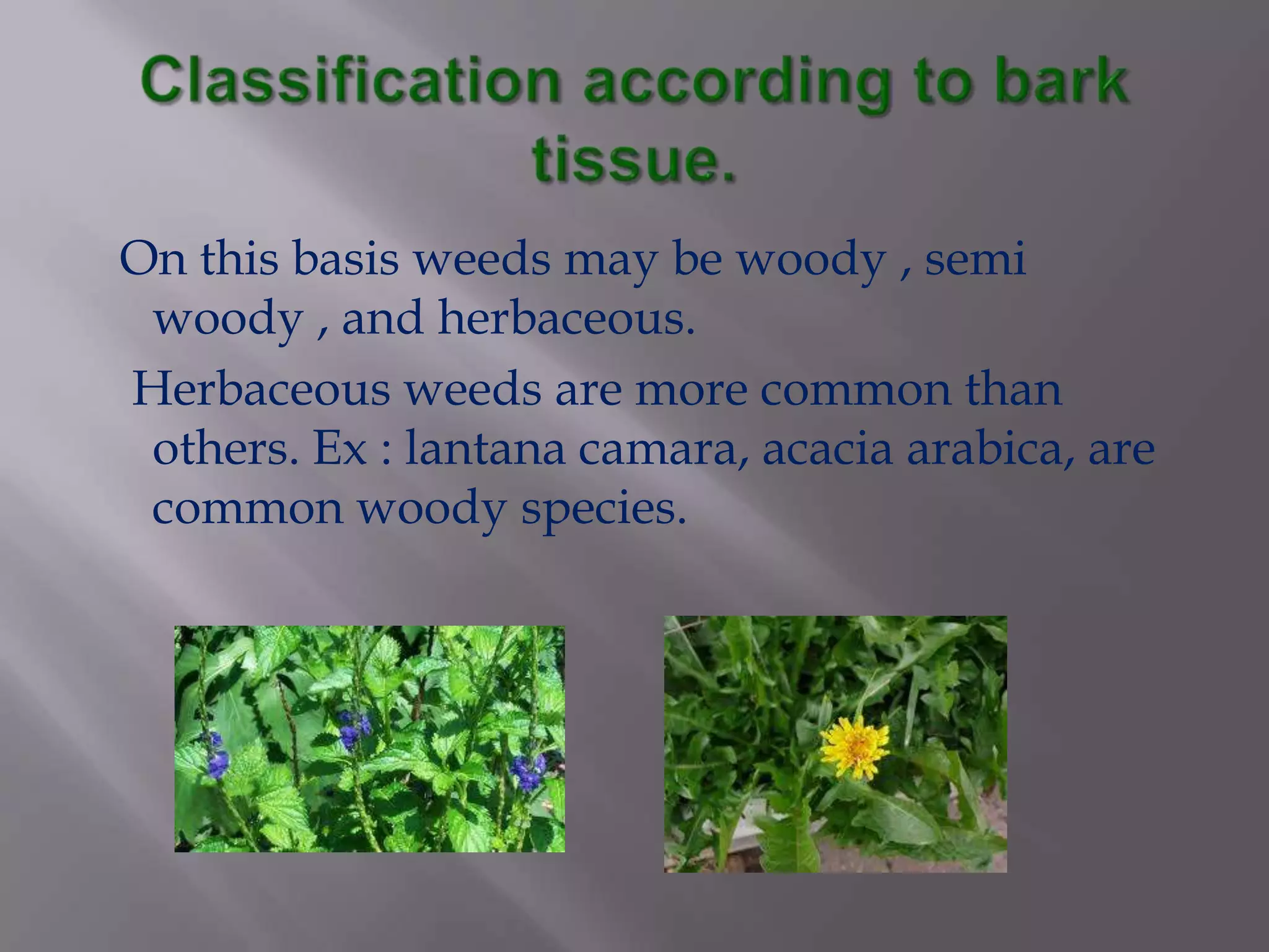 Classification of weeds. | PPTX