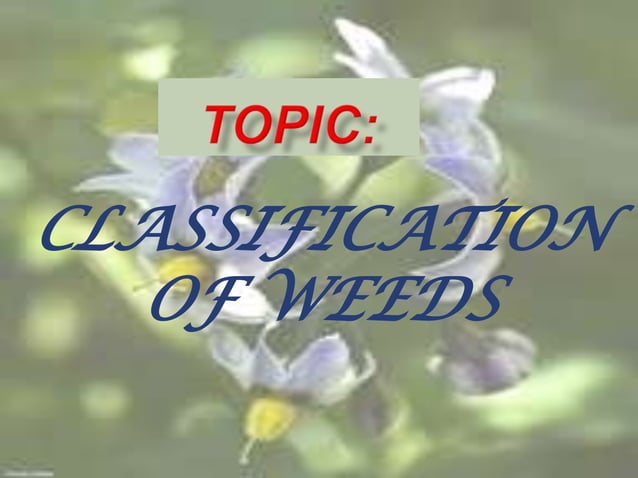 Classification of weeds. | PPT