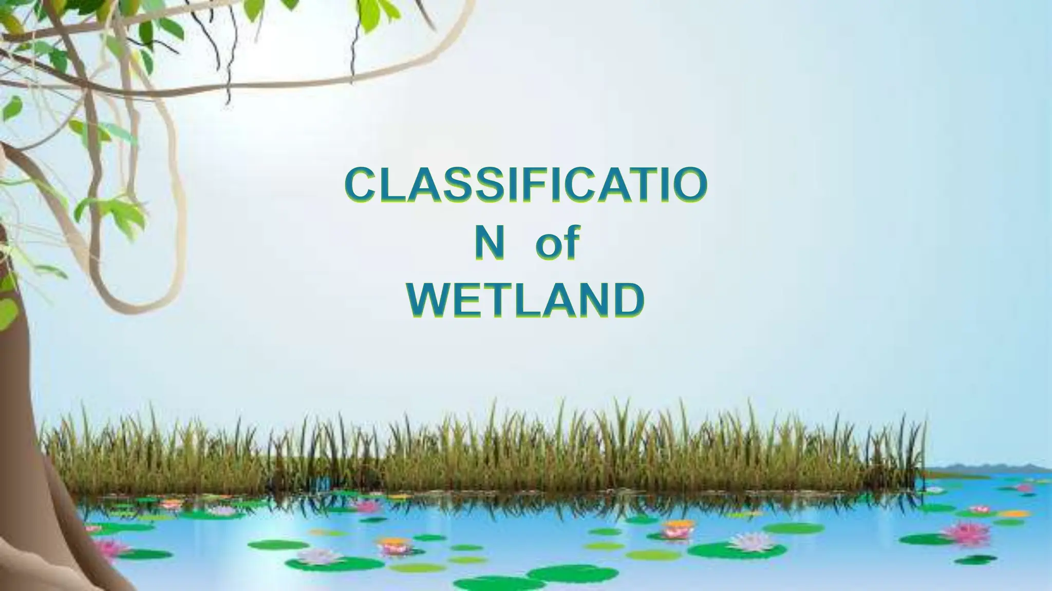 Classification of Wetlands Presentation.pptx22.pptx