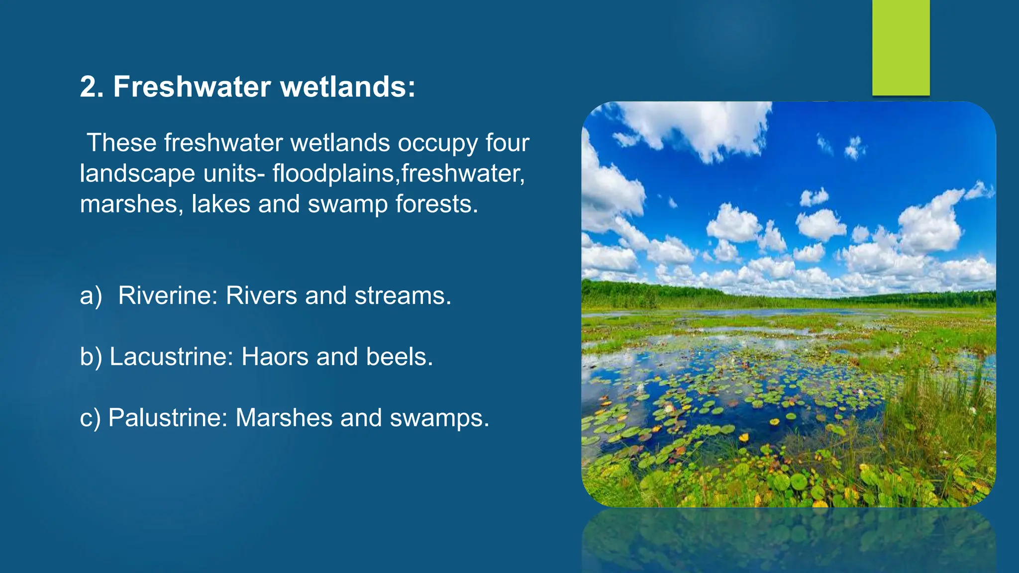 Classification of Wetlands Presentation.pptx22.pptx
