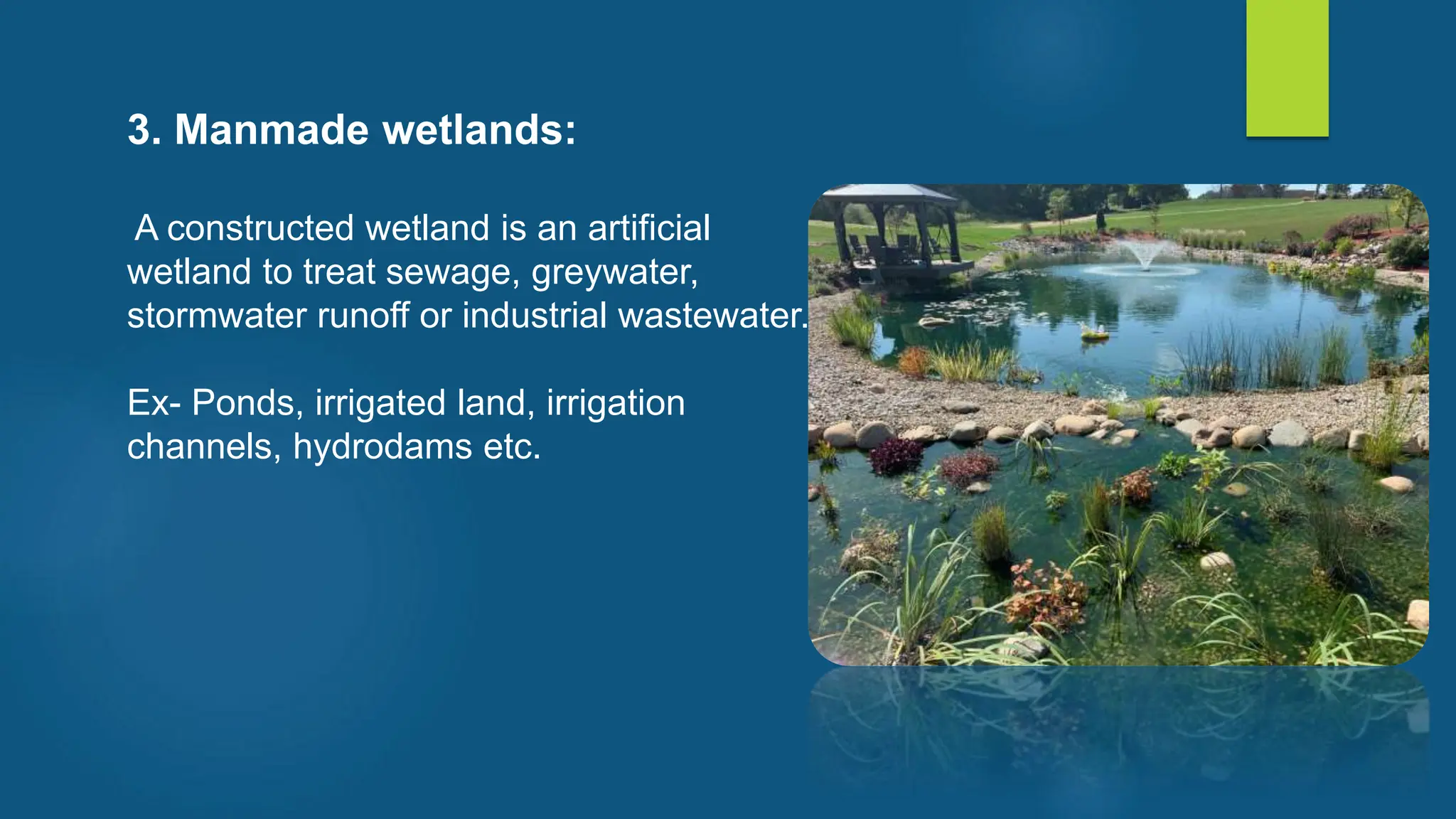 Classification of Wetlands Presentation.pptx22.pptx