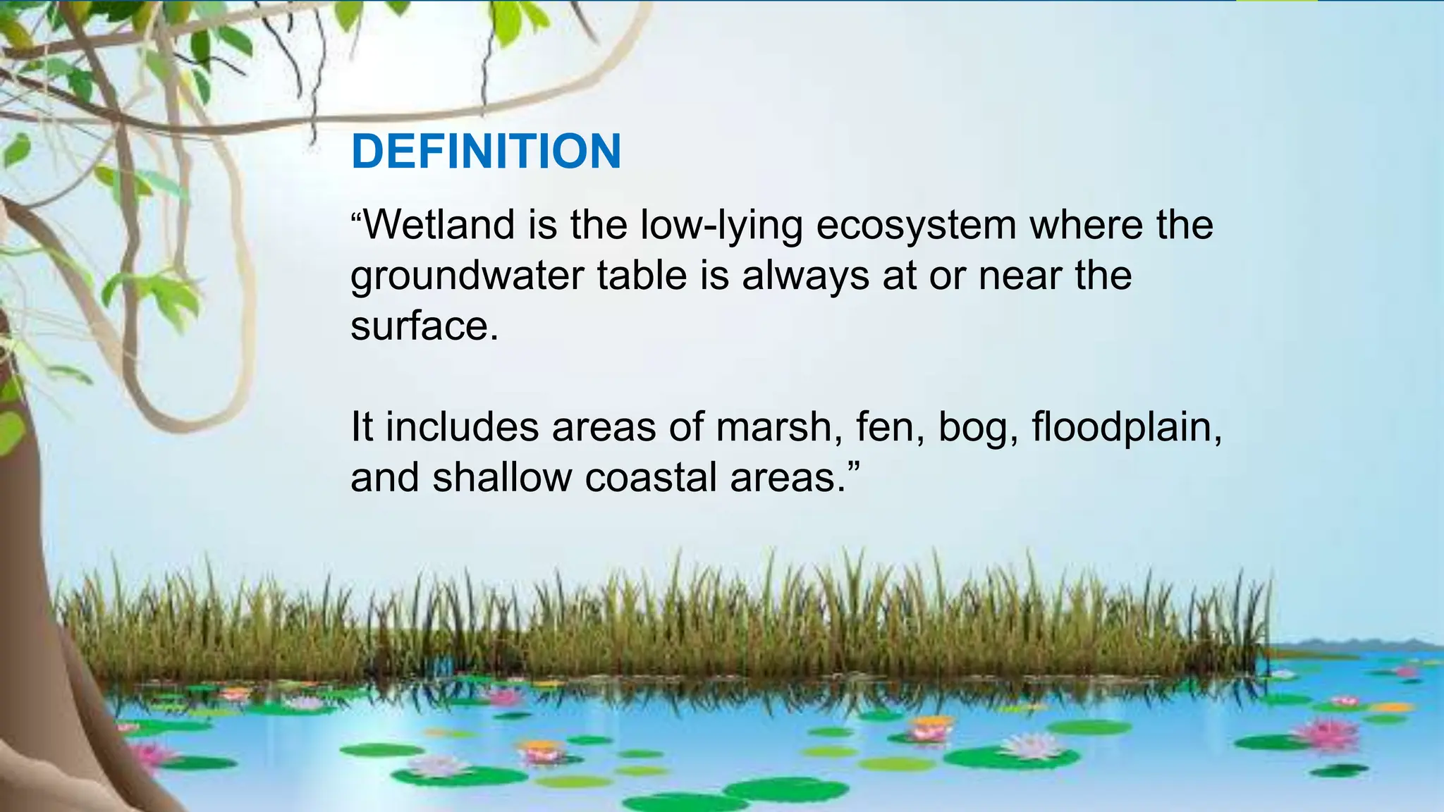 Classification of Wetlands Presentation.pptx22.pptx