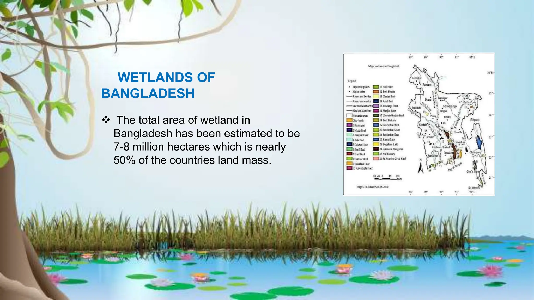 Classification of Wetlands Presentation.pptx22.pptx