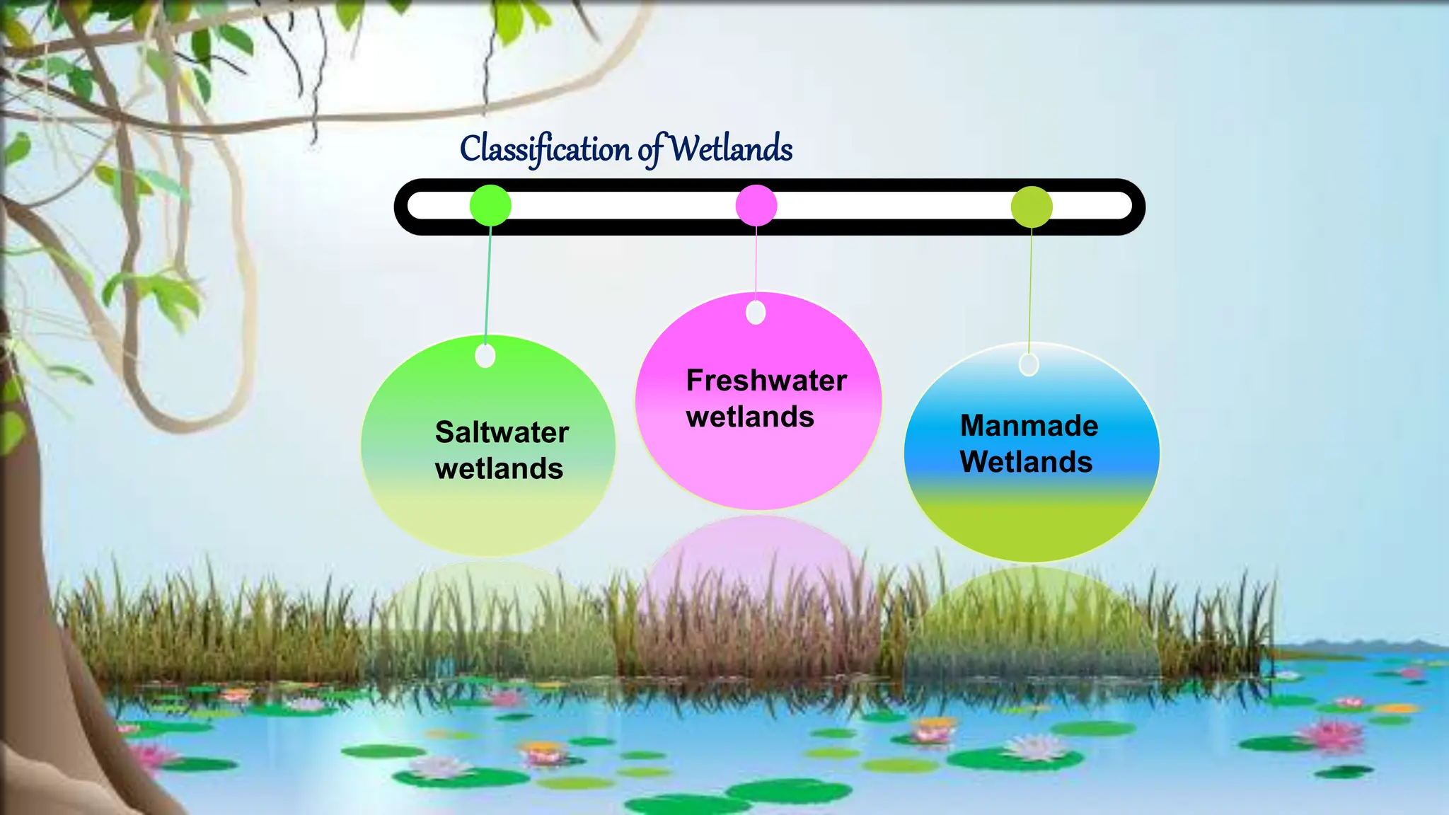 Classification of Wetlands Presentation.pptx22.pptx