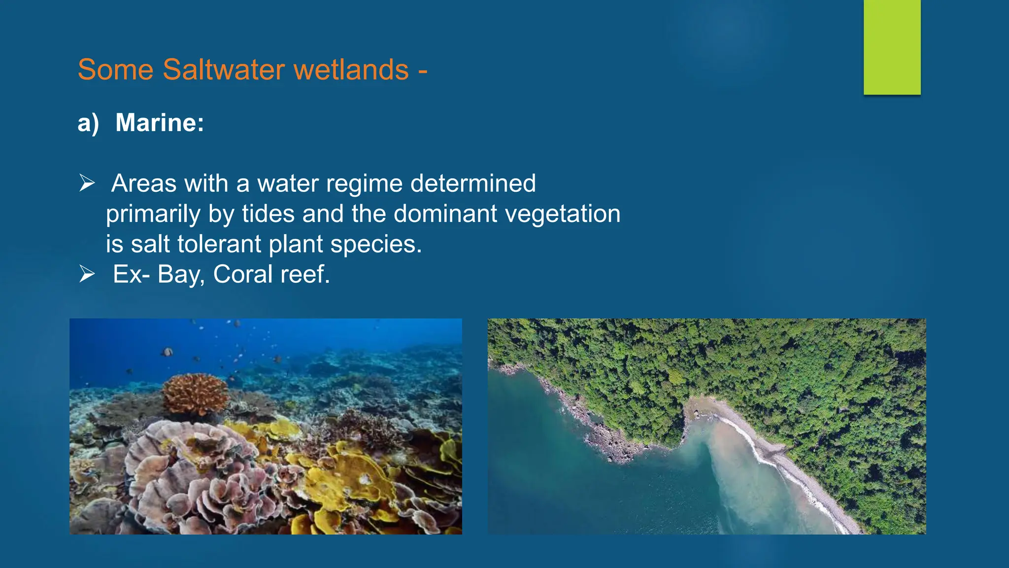 Classification of Wetlands Presentation.pptx22.pptx