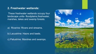 Classification of Wetlands Presentation.pptx22.pptx