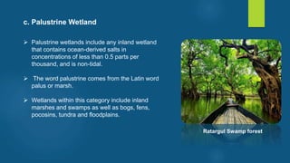 Classification of Wetlands Presentation.pptx22.pptx