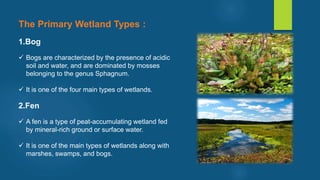 Classification of Wetlands Presentation.pptx22.pptx