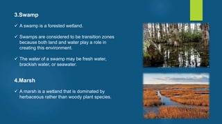 Classification of Wetlands Presentation.pptx22.pptx