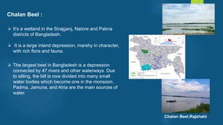 Classification of Wetlands Presentation.pptx22.pptx