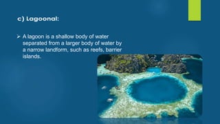 Classification of Wetlands Presentation.pptx22.pptx