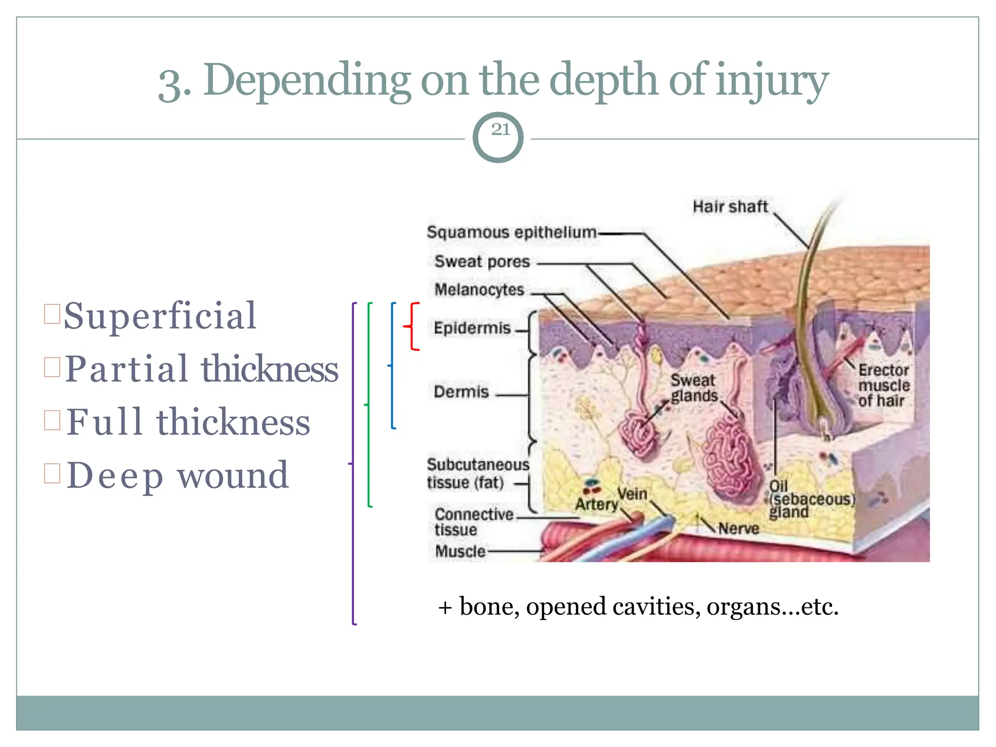 CLASSIFICATION OF WOUNDS BDS 3rd year .pptx
