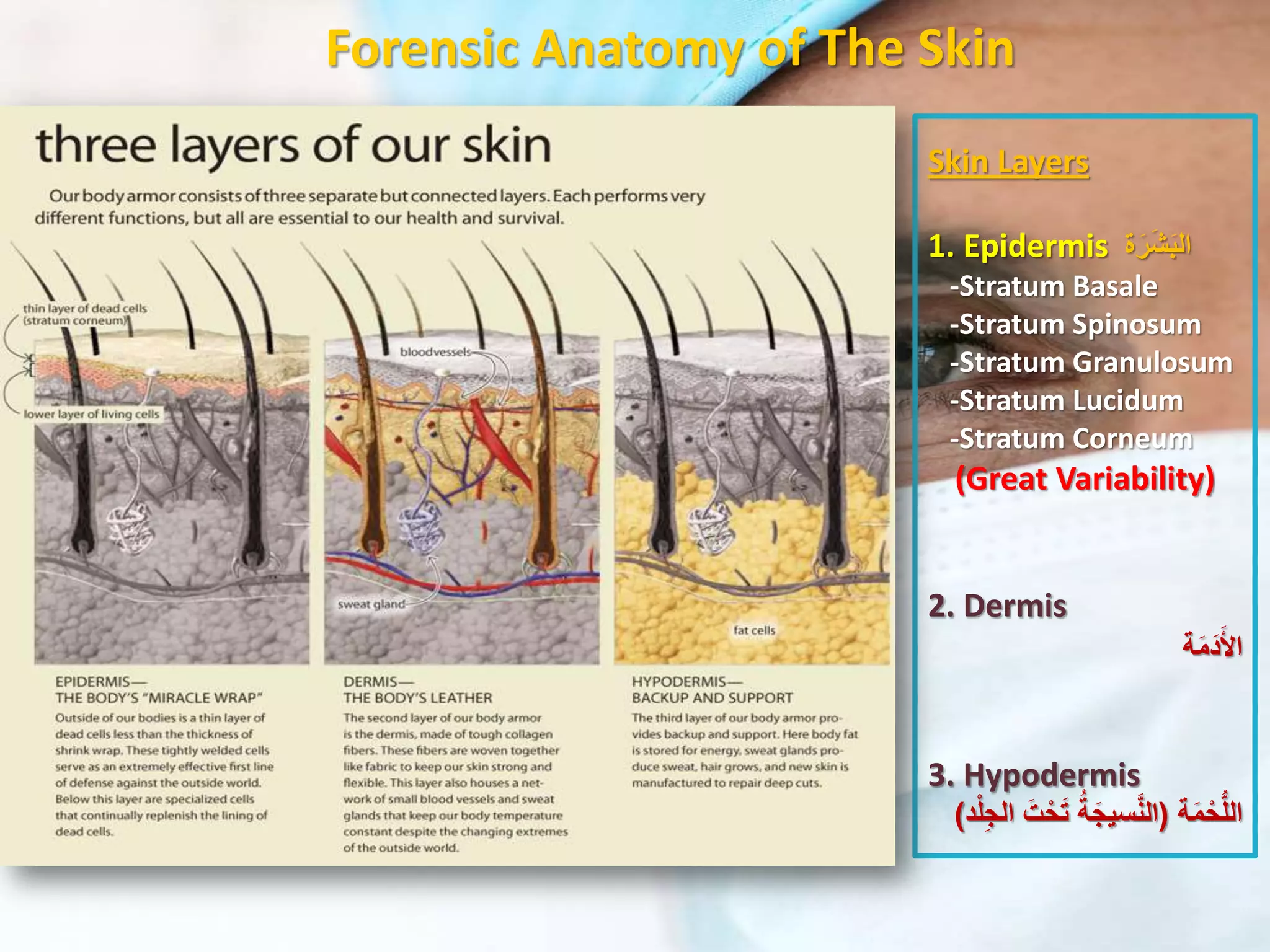 Definitions, Biophysics and Classifications of wounding | PDF ...