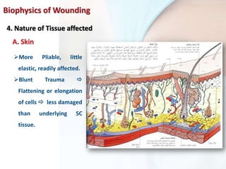 Definitions, Biophysics and Classifications of wounding | PDF