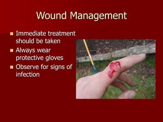 Classification of Wounds.ppt
