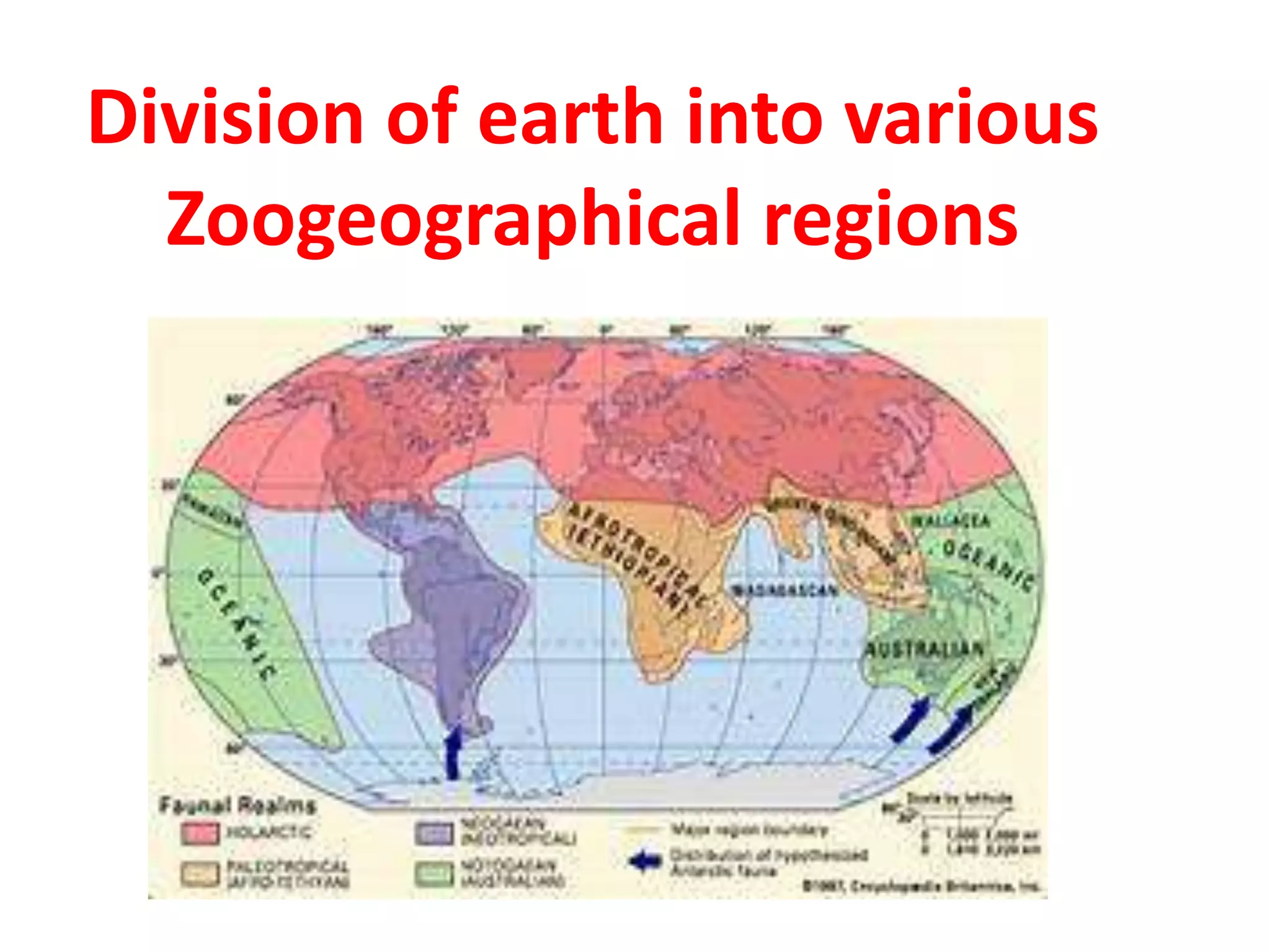 Classification of zoogeographical regions | PPTX