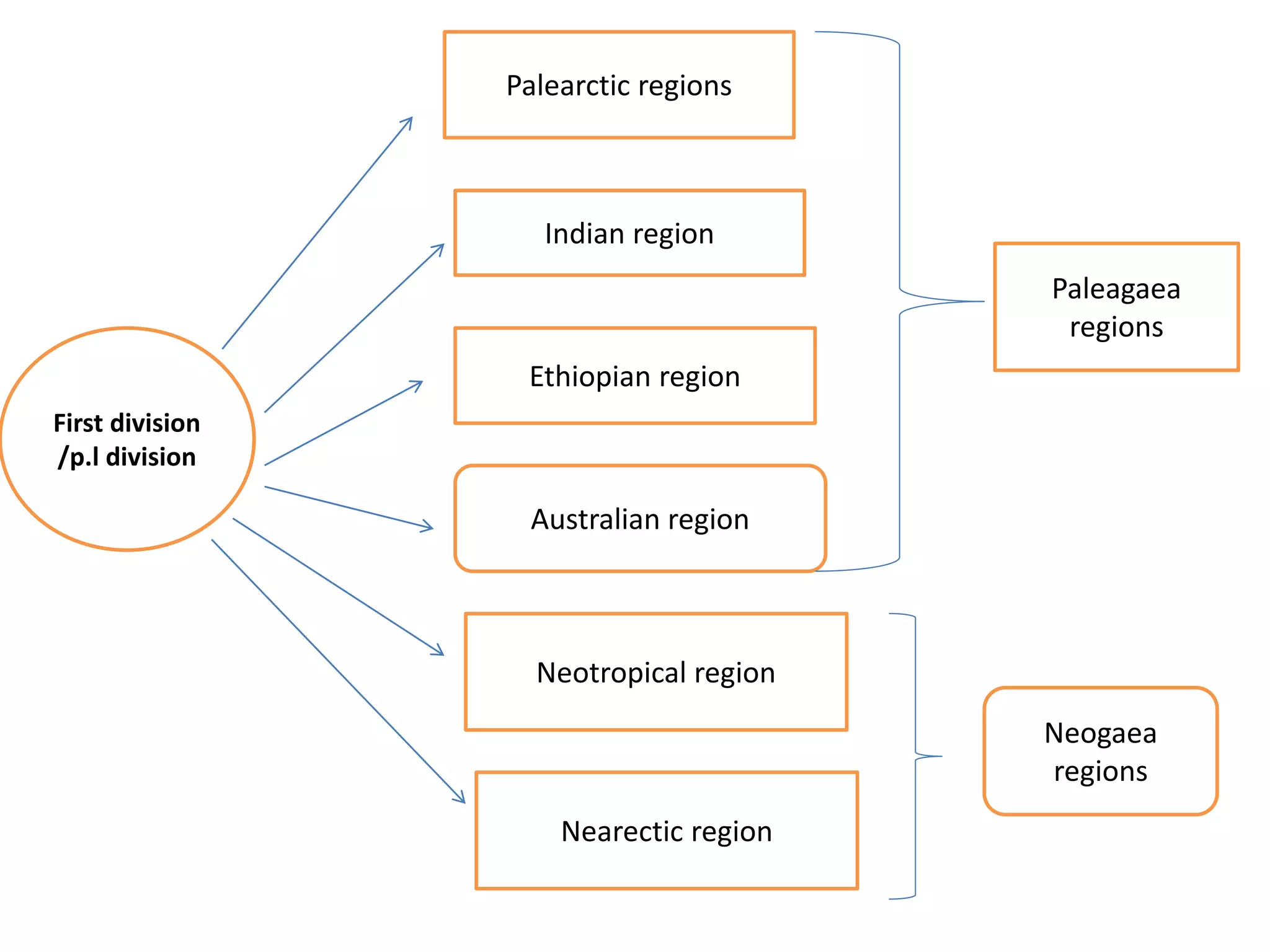 Classification of zoogeographical regions | PPTX