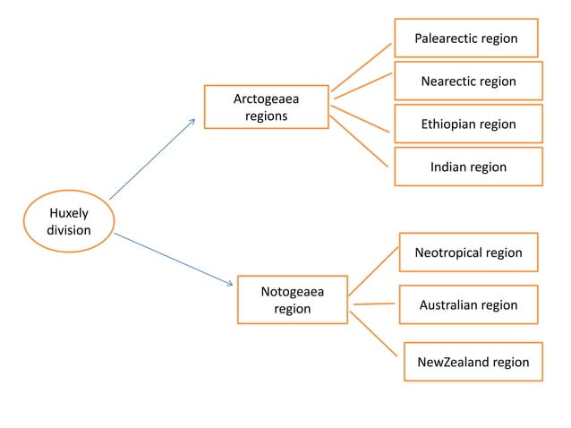 Classification of zoogeographical regions | PPTX