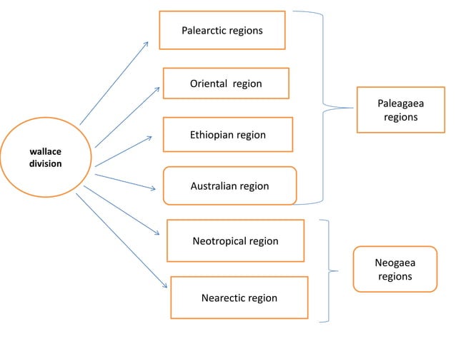 Classification of zoogeographical regions | PPTX