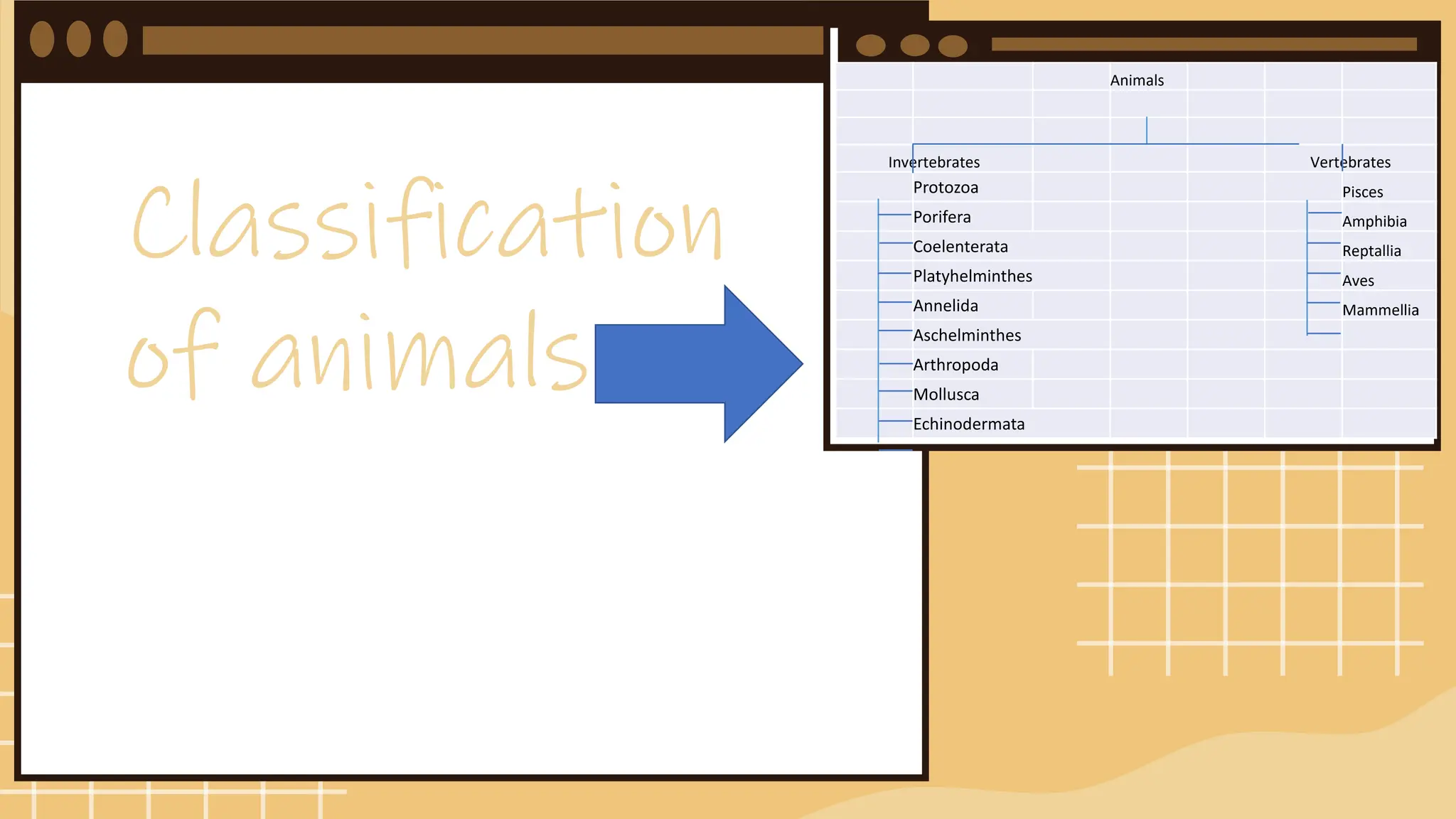 Classification on animals.pptx
