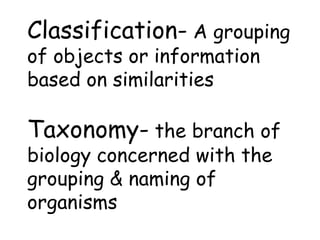 Classification part 1 for blog | PPT
