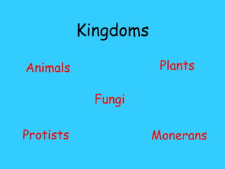 Classification Power Point 1 | PPT