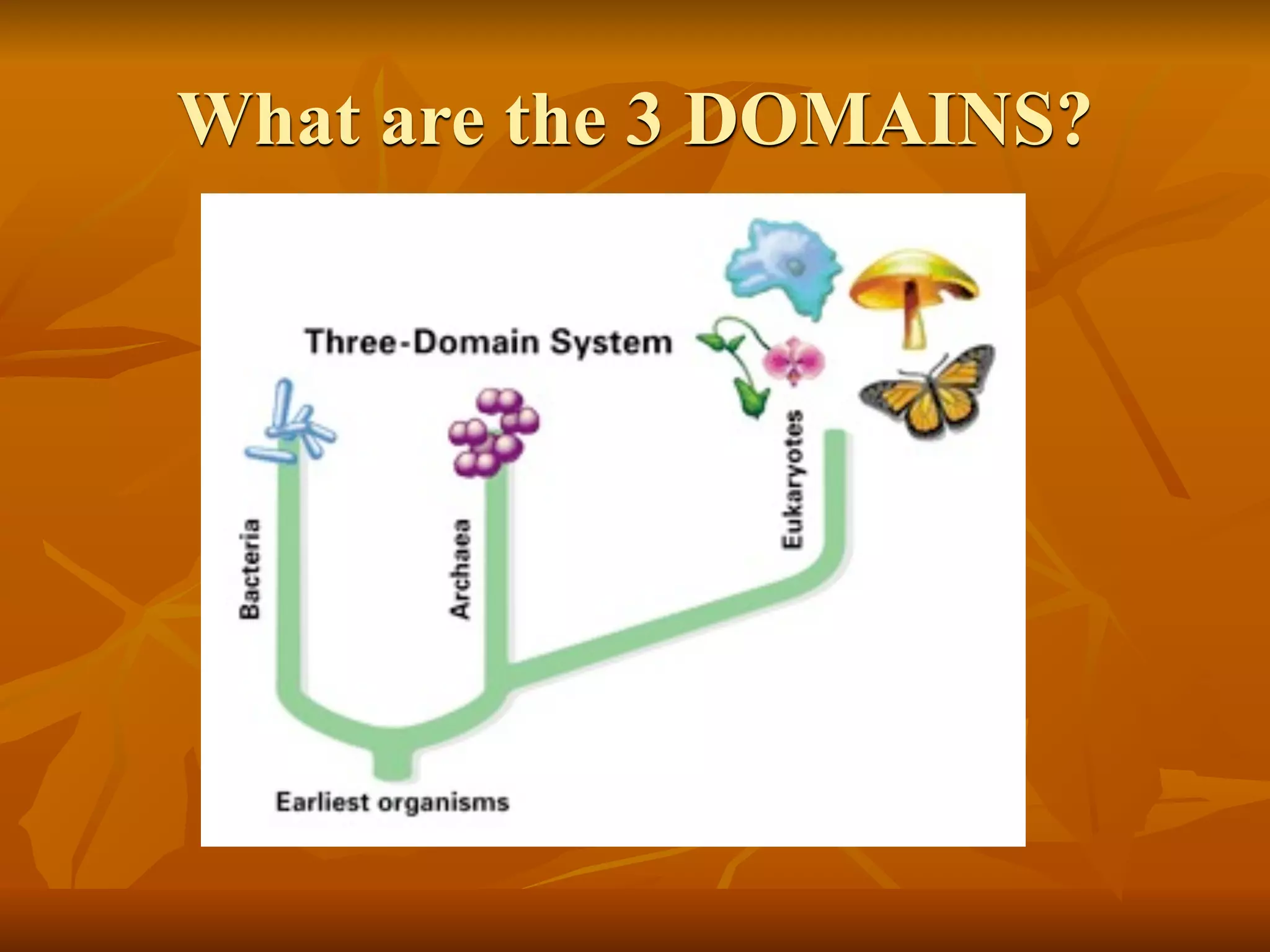 Classification power point_with_domain | PPT