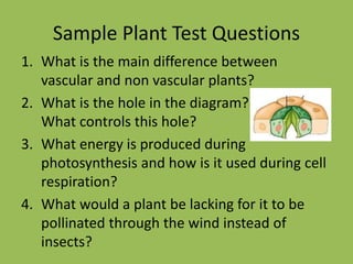 The Classification of Biological Life | PPTX