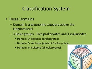 The Classification of Biological Life | PPTX