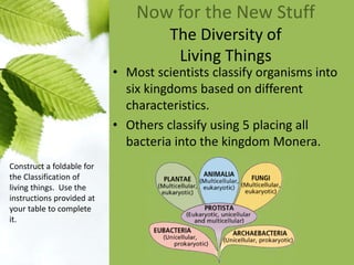 The Classification of Biological Life | PPTX